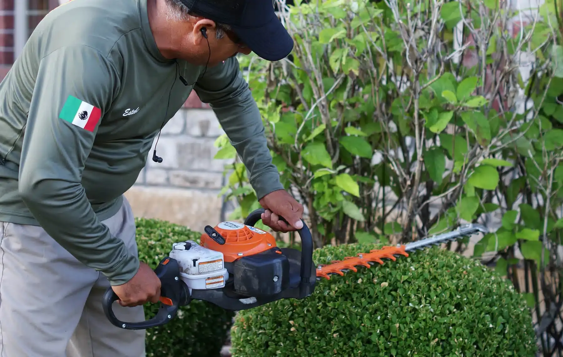 5 Best Tips on How to Prune Plants & Trees|Elevate Outdoor