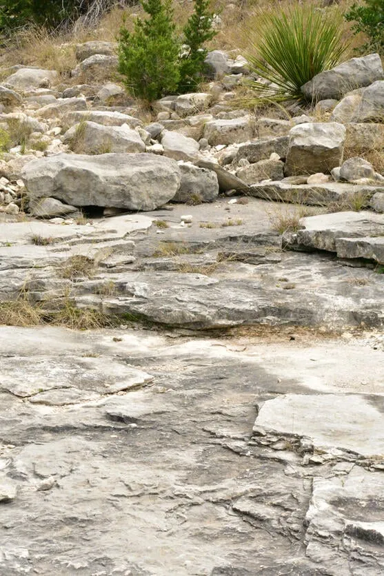 Dry Creek Bed Ideas for a Landscape Upgrade|Elevate Outdoor