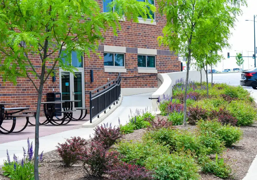 College & University Landscaping Best Practices and ROI | Elevate Outdoor