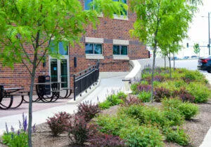 College & University Landscaping Best Practices and ROI | Elevate Outdoor