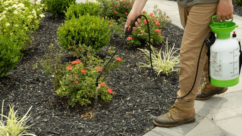 Pest Control | Elevate Outdoor