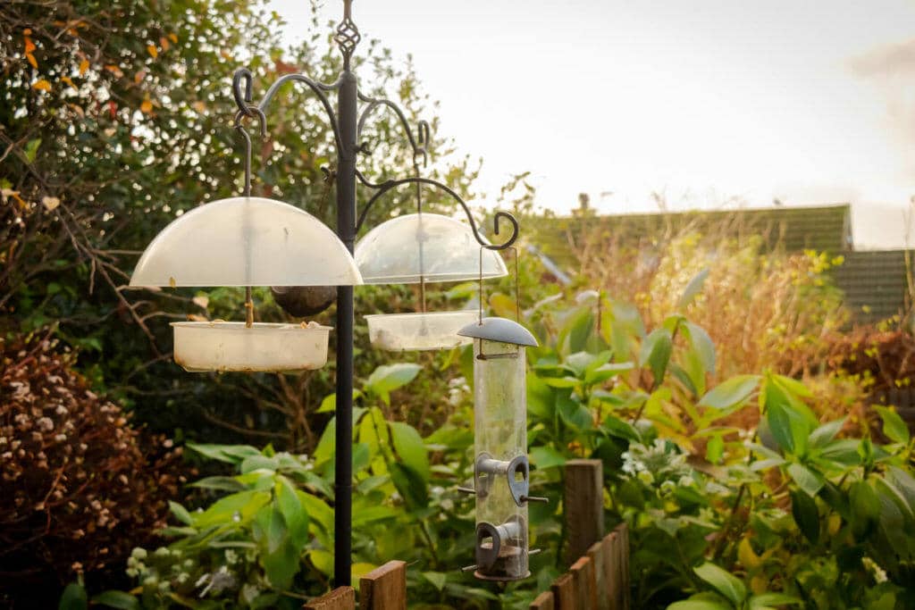 5 Quick and Easy Ways to Prevent Deer | Elevate Outdoor