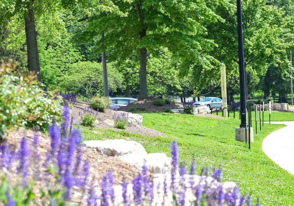 College & University Landscaping Best Practices and ROI | Elevate Outdoor