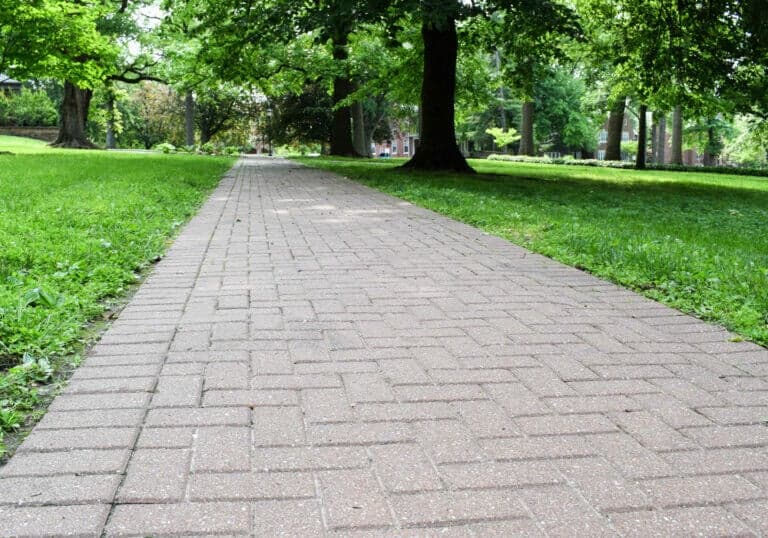 College & University Landscaping Best Practices and ROI | Elevate Outdoor